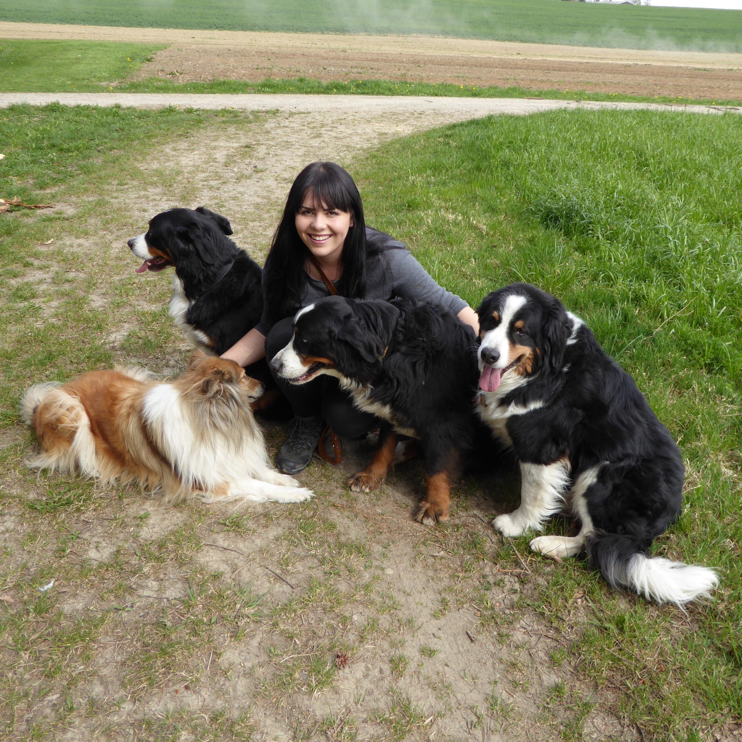 About - Canine Sense