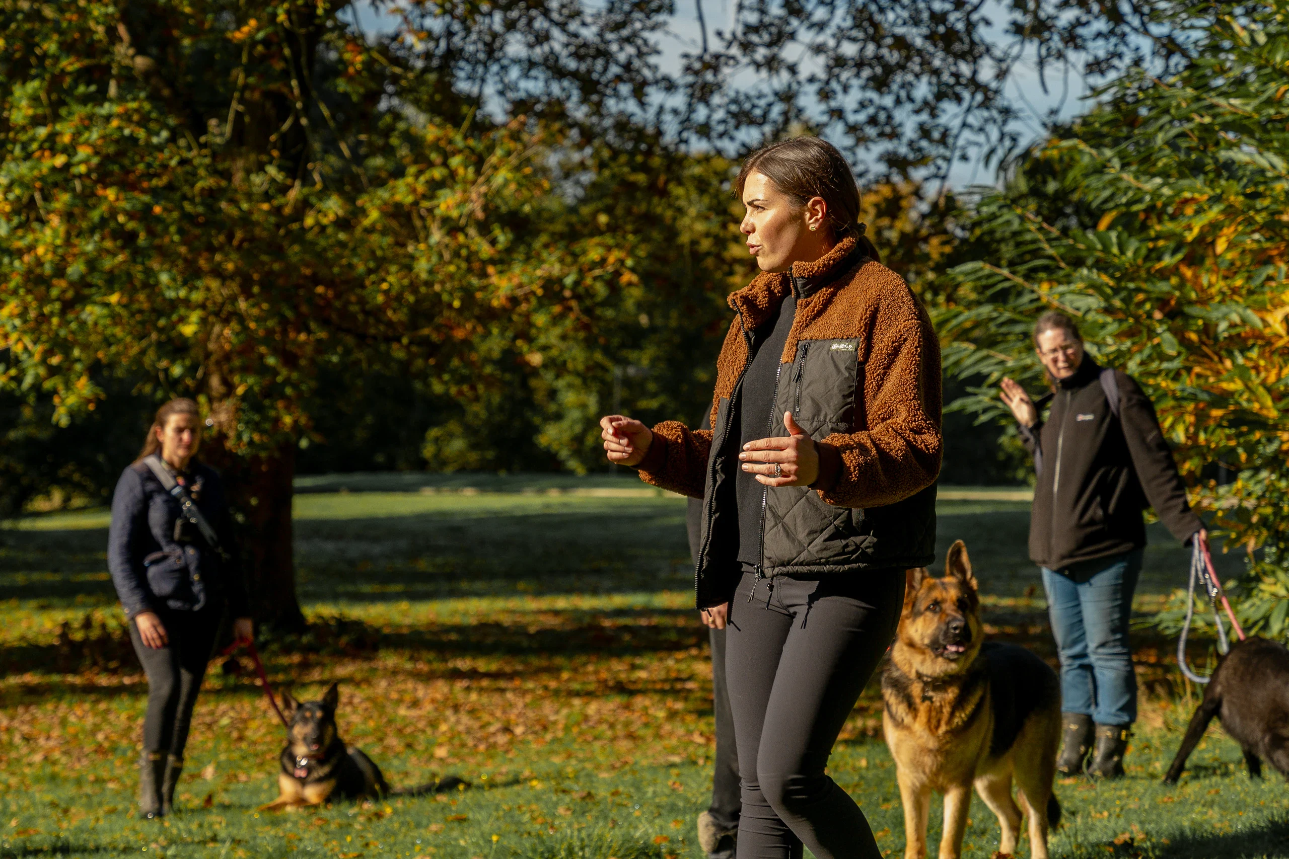 About - Canine Sense